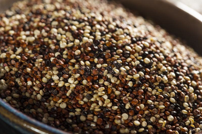 Organic Colorful Raw Quinoa Stock Photo - Image of food, natural: 39849878