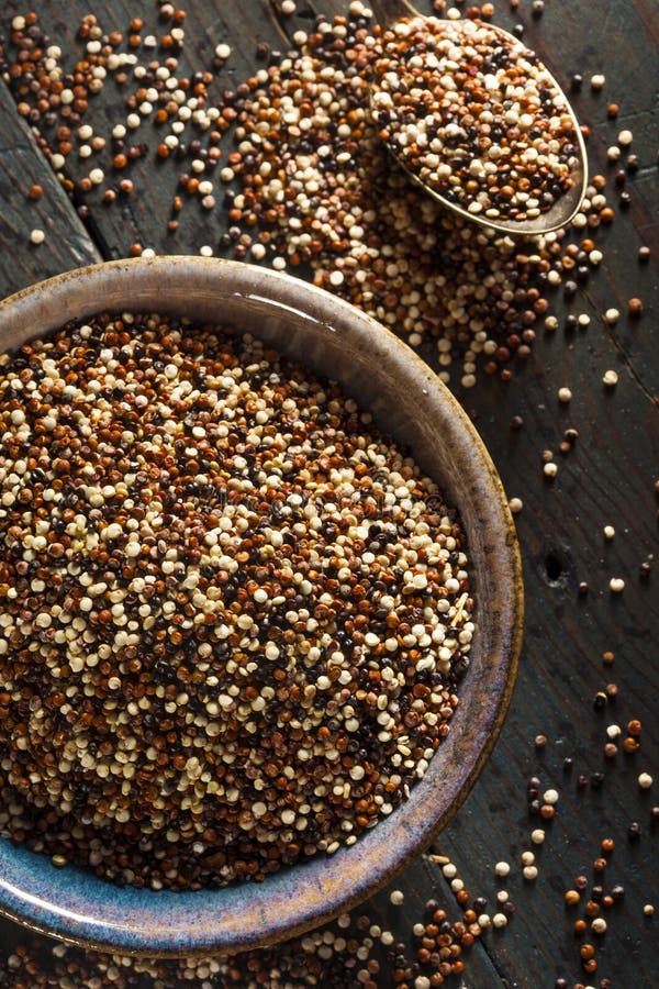 Organic Colorful Raw Quinoa Stock Image - Image of brown, protein: 39849887
