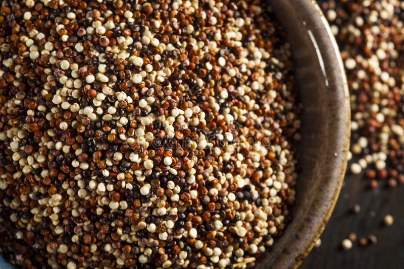 Organic Colorful Raw Quinoa Stock Photo - Image of vegetarian, quinoa ...