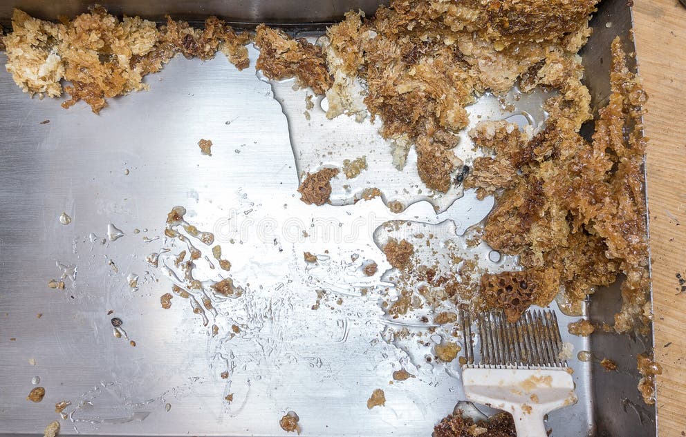 Organic comb capping stock photo. Image of meal, honeycomb - 96199644