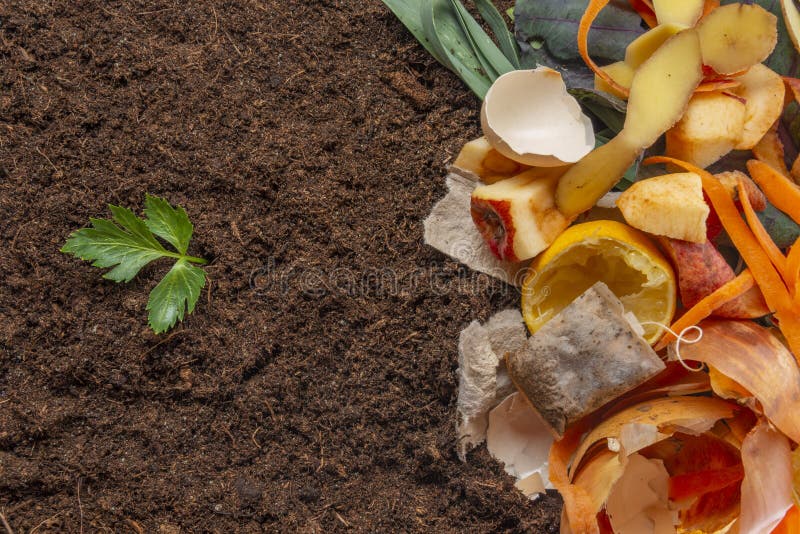 The Organic Compost - Biodegradable Kitchen Waste and Soil Stock Image ...