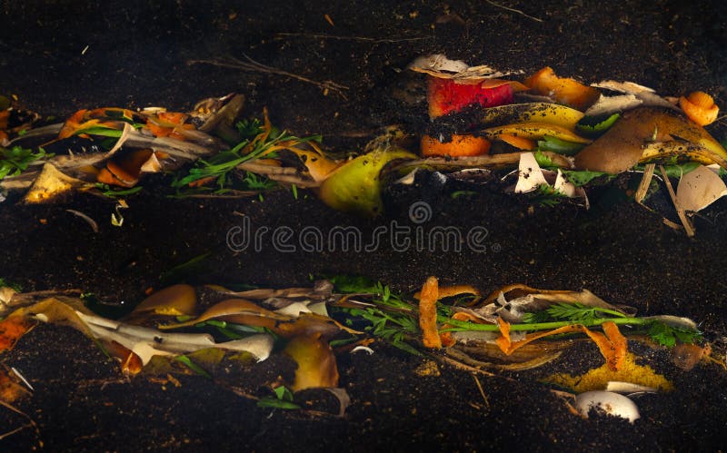 Organic Compost - Biodegradable Kitchen Waste and Soil. Layers of ...