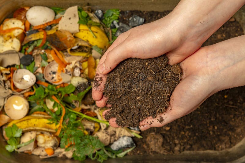 Organic Compost - Biodegradable Kitchen Waste and Soil in Layers in the ...