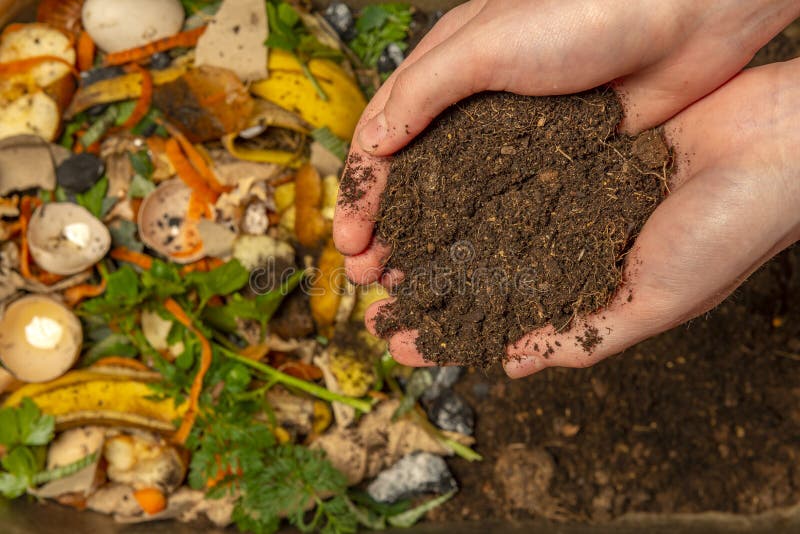 Organic Compost - Biodegradable Kitchen Waste and Soil in Layers in the ...