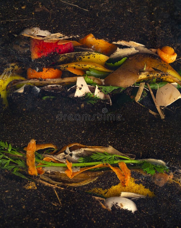 Organic Compost - Biodegradable Kitchen Waste and Soil in Layers in the ...