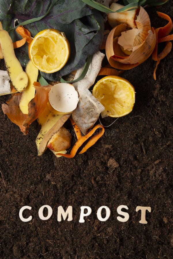 The Organic Compost - Biodegradable Kitchen Waste and Soil Stock Image ...