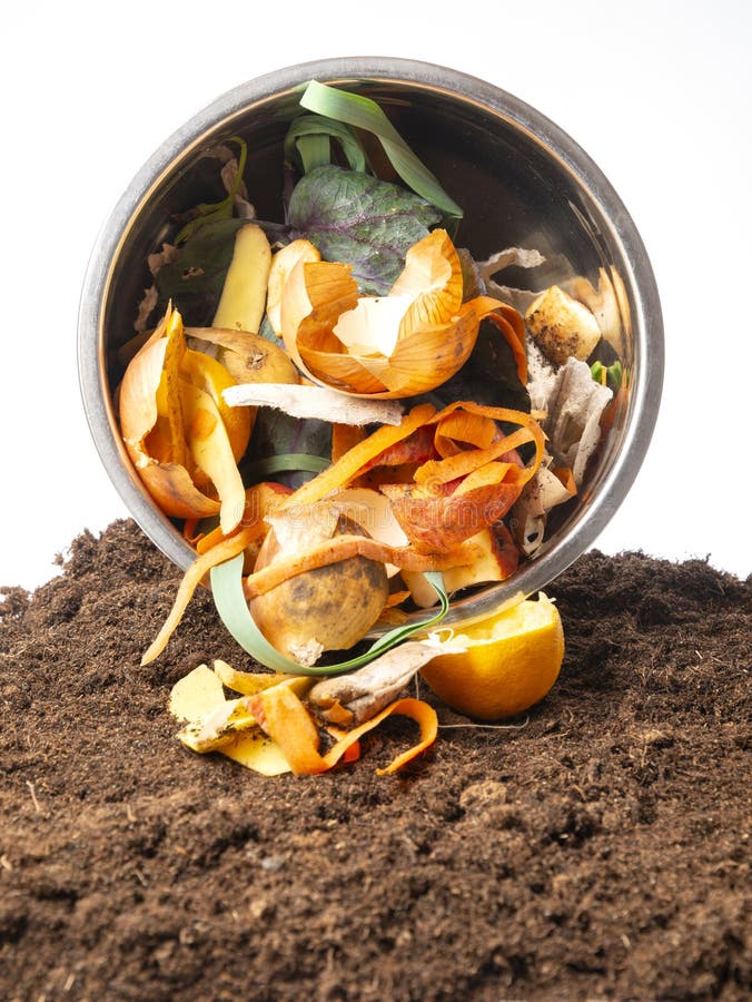 The Organic Compost - Biodegradable Kitchen Waste and Soil Stock Image ...
