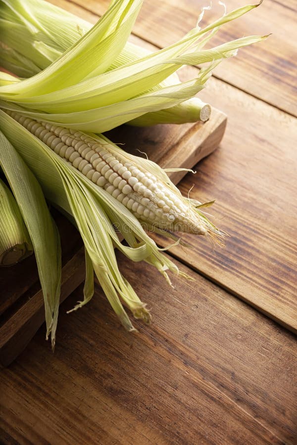 Organic Corn stock image. Image of corn, farm, harvest - 240576095