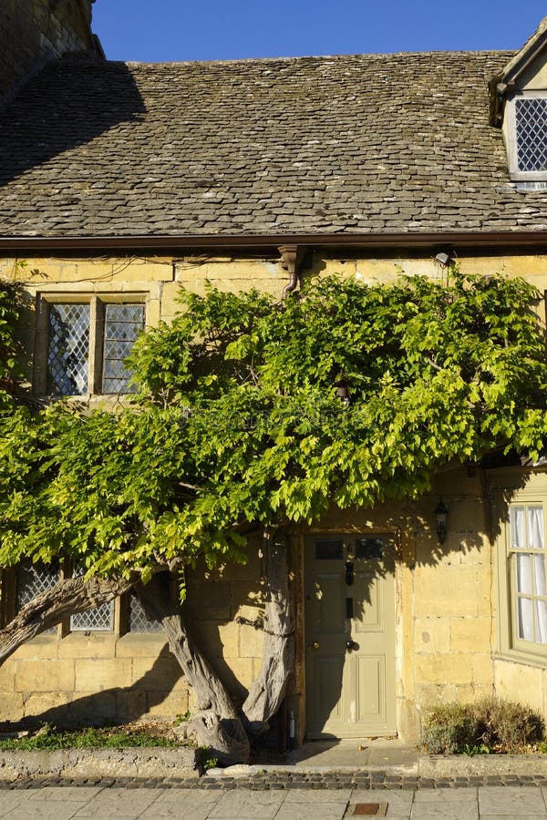 Organic Cottage stock image. Image of history, picturesque - 21738779