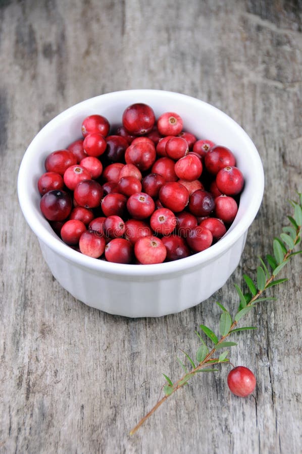 214 Cow Thanksgiving Stock Photos - Free & Royalty-Free Stock Photos ...