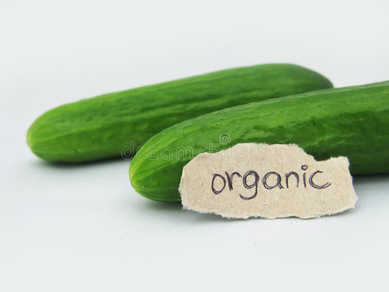 Organic Cucumbers stock image. Image of veggie, slice - 12069711