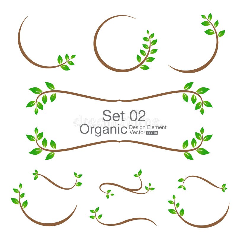 Organic Design Element on the Background Vector Illustr Stock Vector ...