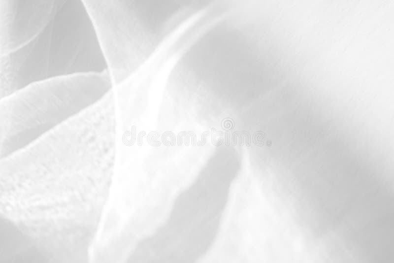 Organic Drop Shadow on a White Wall Stock Photo - Image of geometric ...