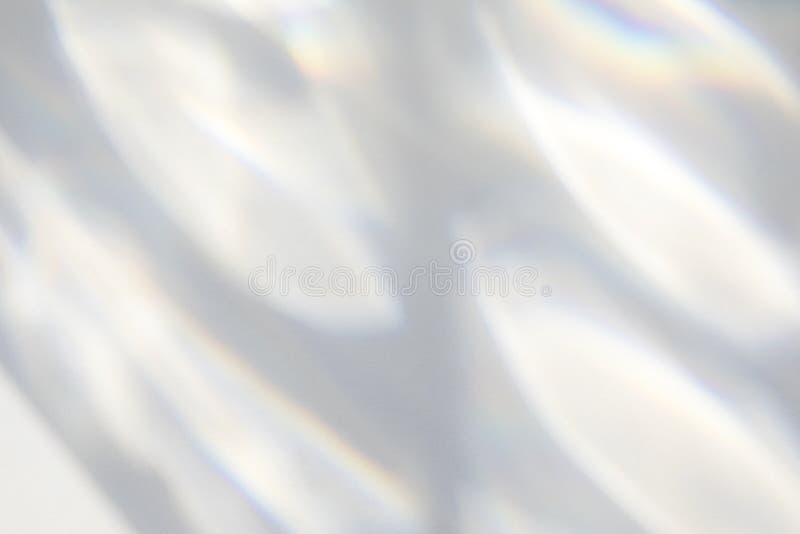 Organic Drop Shadow on a White Wall Stock Image - Image of arch ...