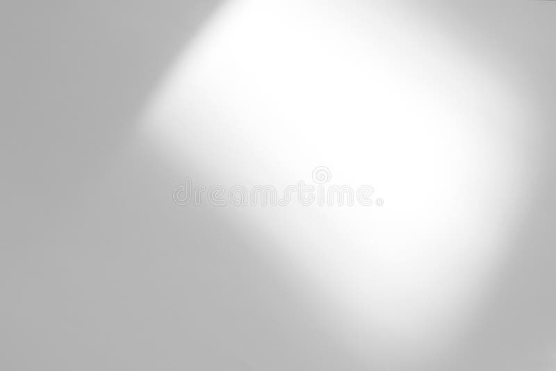 Organic Drop Shadow on a White Wall Stock Photo - Image of photographic ...
