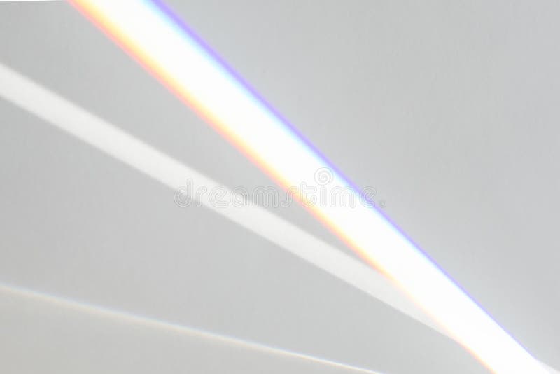 Organic Drop Shadow on a White Wall Stock Photo - Image of roaring ...