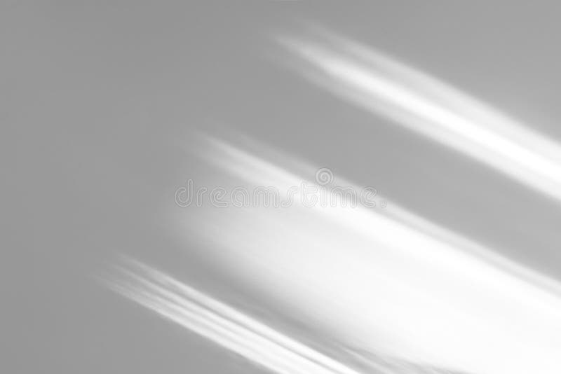 Organic Drop Shadow on a White Wall Stock Image - Image of background ...