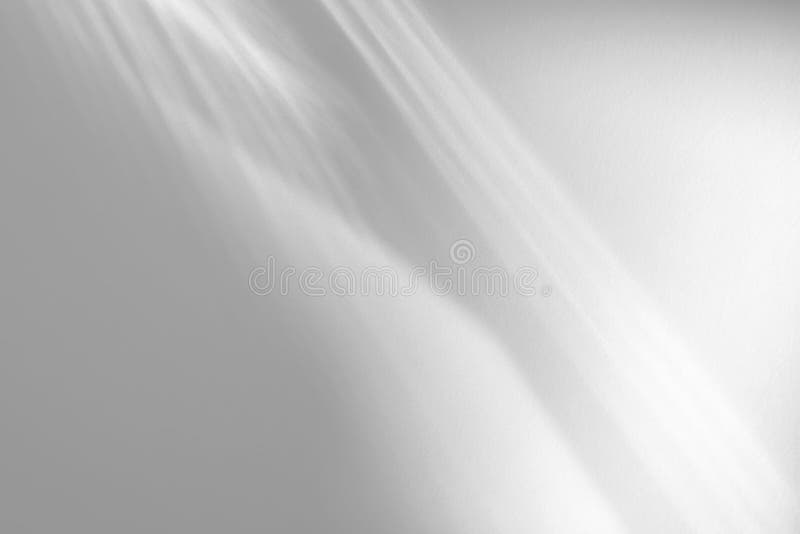 Organic Drop Shadow on a White Wall Stock Image - Image of decorative ...