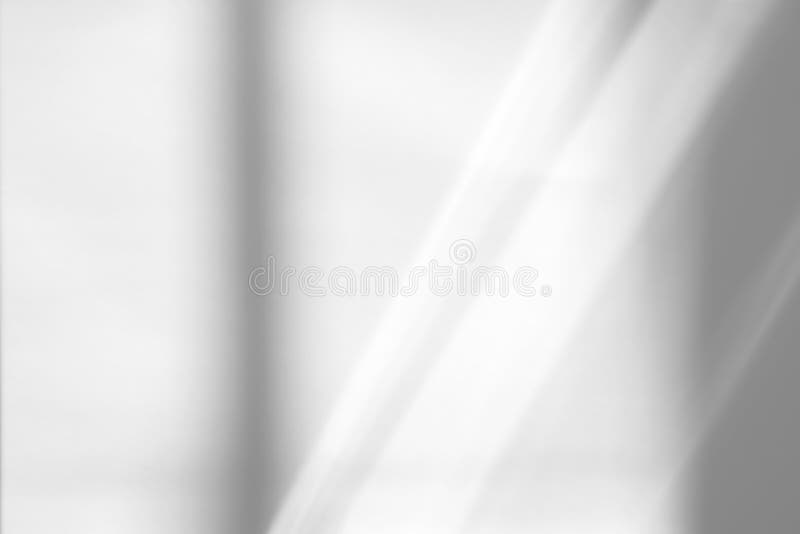 Organic Drop Shadow on a White Wall Stock Photo - Image of organic ...