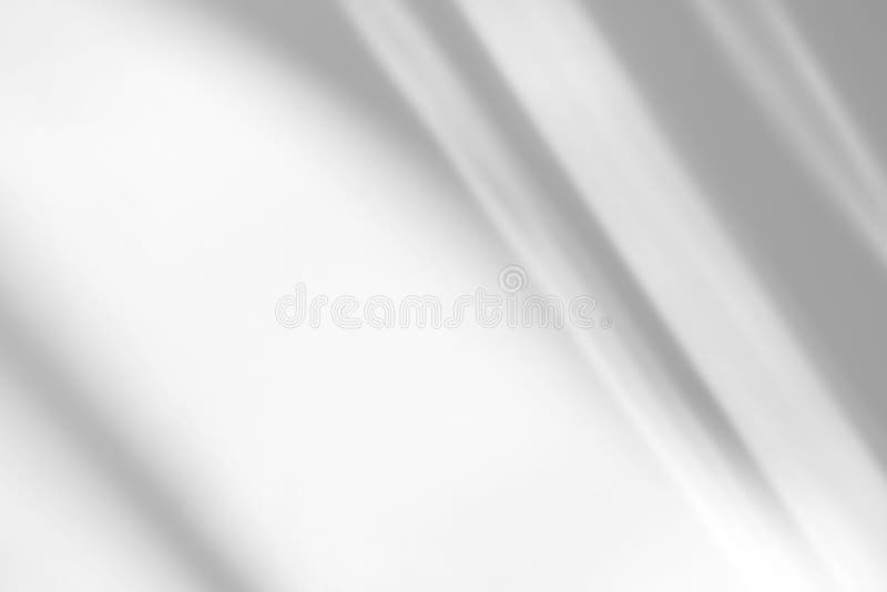 Organic Drop Shadow on a White Wall Stock Photo - Image of product ...