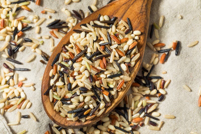 Organic Dry Asian Wild Rice Stock Photo - Image of agriculture, natural ...