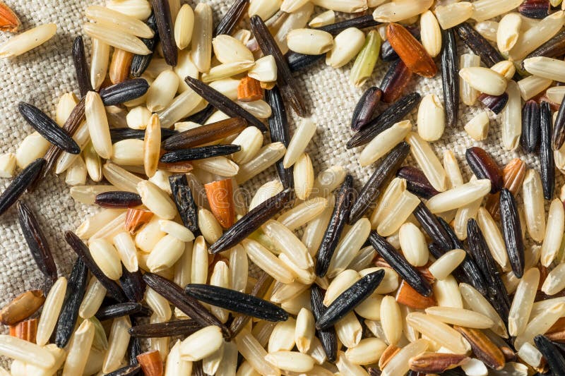 Organic Dry Asian Wild Rice Stock Photo - Image of fiber, white: 367674844
