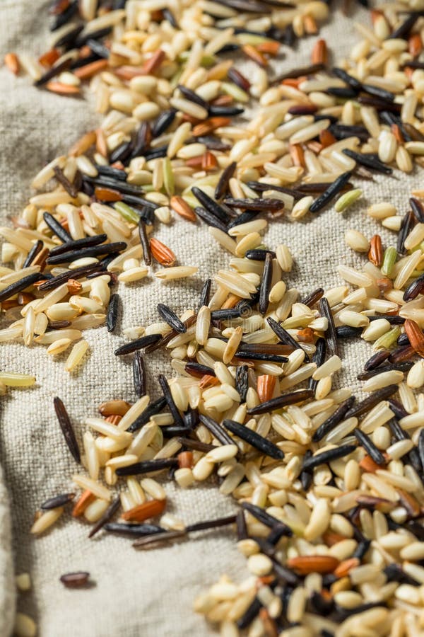 Organic Dry Asian Wild Rice Stock Photo - Image of food, long: 367674858