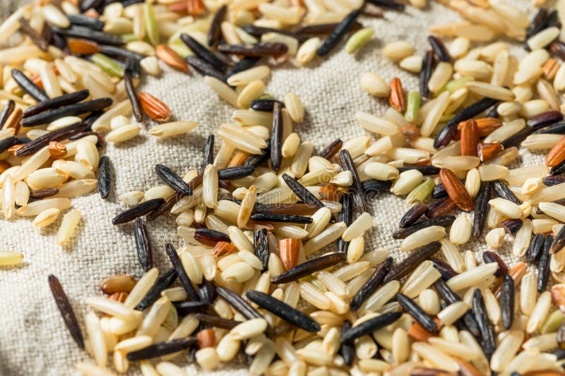 Organic Dry Asian Wild Rice Stock Image - Image of agriculture ...