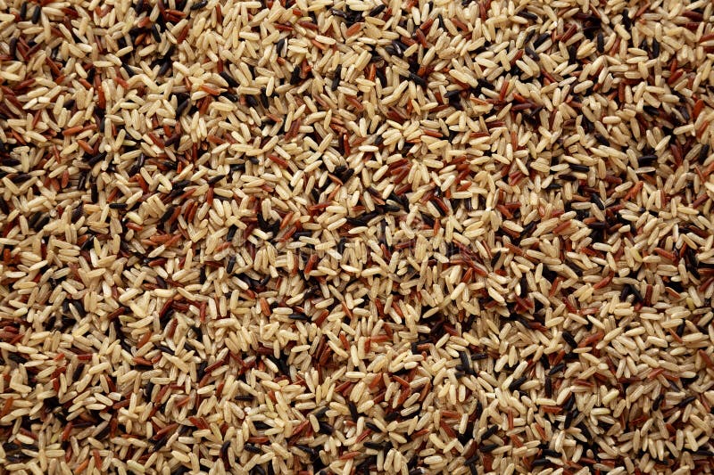 Organic Dry Asian Wild Rice, Top View Stock Image - Image of indian ...