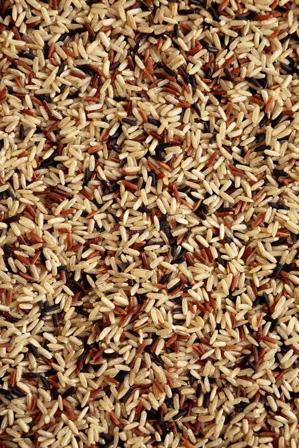 Organic Dry Asian Wild Rice, Top View Stock Image - Image of long ...