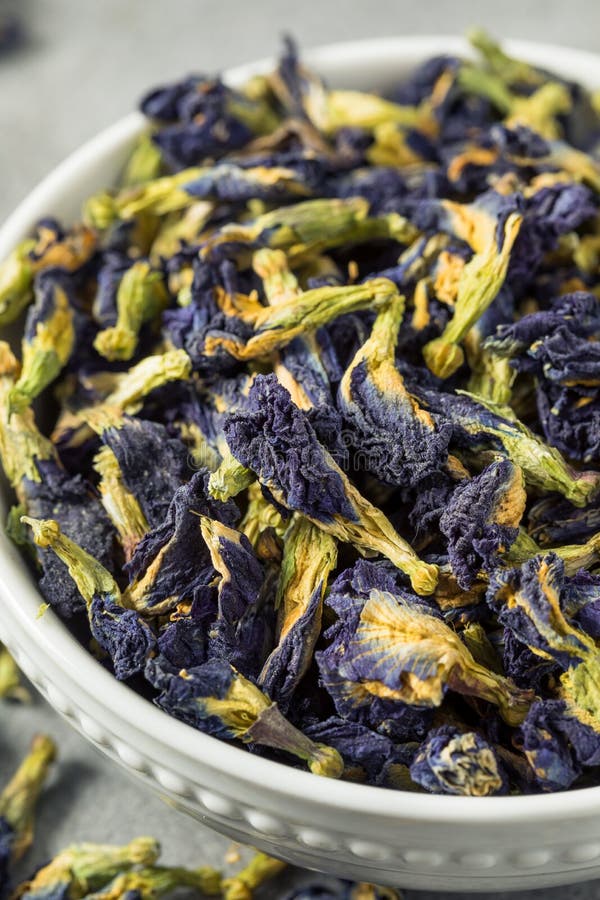 Organic Dry Butterfly Pea Flower Tea Stock Photo - Image of healthy ...