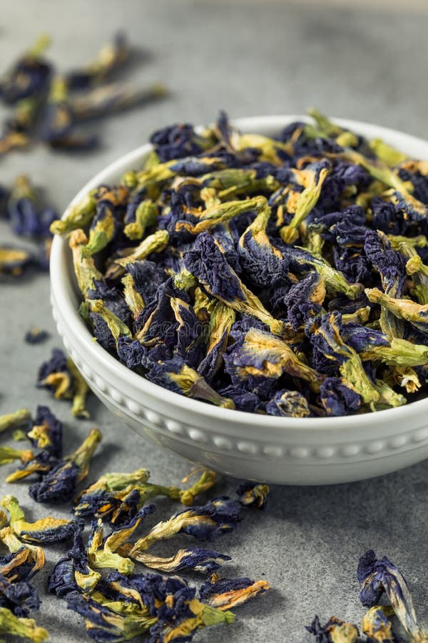 Organic Dry Butterfly Pea Flower Tea Stock Photo - Image of leaf ...