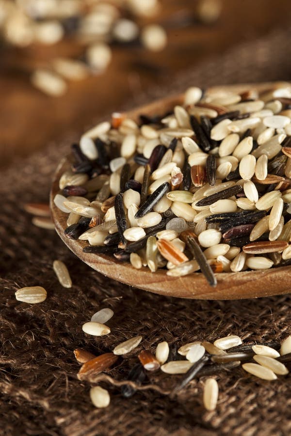 Organic Dry Multi Grain Rice Stock Image - Image of brown, multi: 30712975