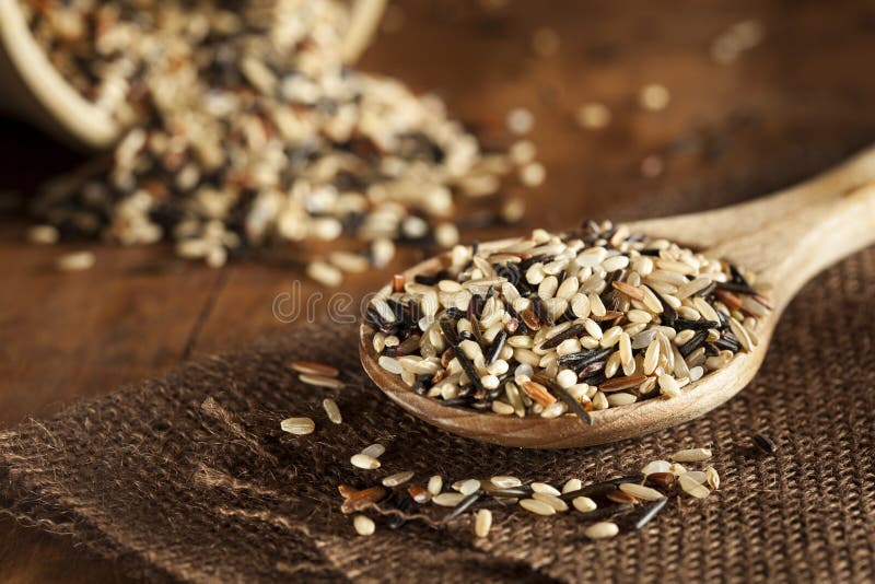 Brown Rice stock photo. Image of healthy, brown, rice, diet - 419738