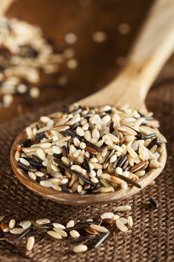 Organic Dry Multi Grain Rice Stock Photo - Image of rice, millet: 30713134