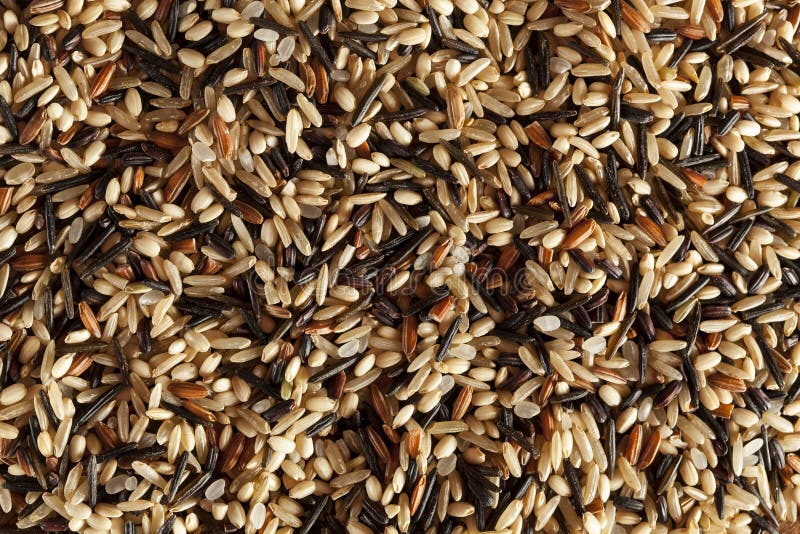 Organic Dry Multi Grain Rice Stock Image - Image of food, wholewheat ...