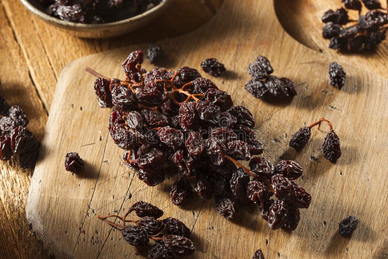 Organic Dry Raisins on the Vine Stock Photo - Image of nature, fruit ...