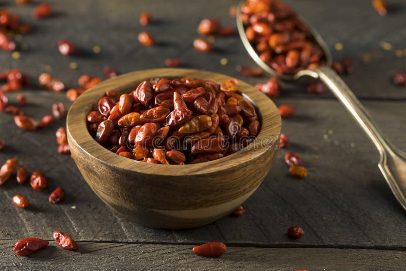 Pequin chili peppers stock photo. Image of growing, pequin - 88266516