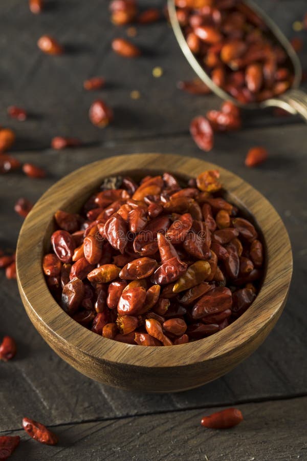 Pequin chili peppers stock photo. Image of growing, pequin - 88266516