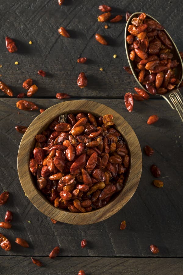 Pequin chili peppers stock photo. Image of growing, pequin - 88266516