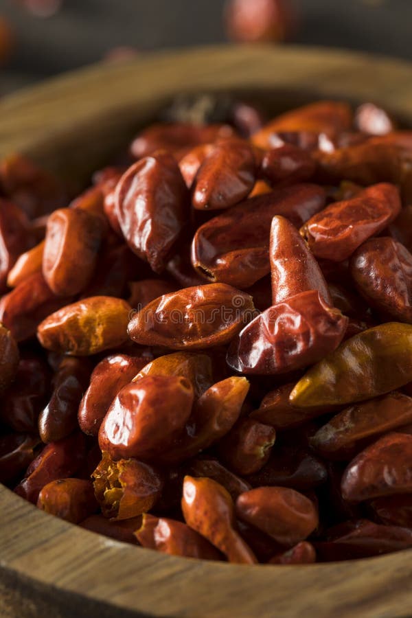 Pequin chili peppers stock photo. Image of growing, pequin - 88266516