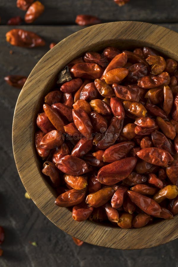 Pequin chili peppers stock photo. Image of growing, pequin - 88266516