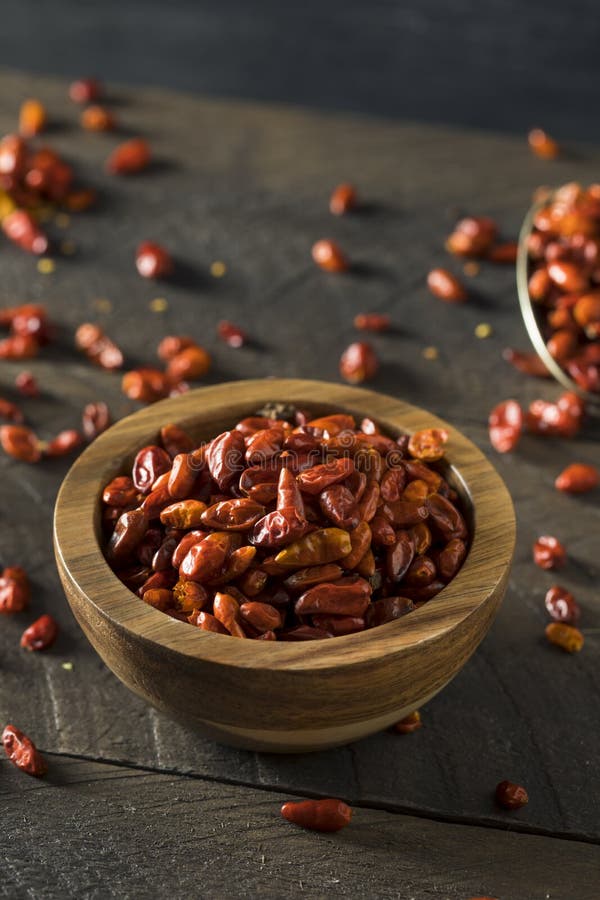 Pequin chili peppers stock photo. Image of growing, pequin - 88266516