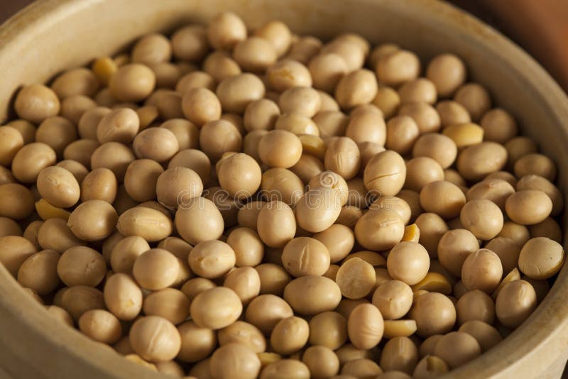 Organic Dry Soy Beans stock photo. Image of ripe, produce - 32393142