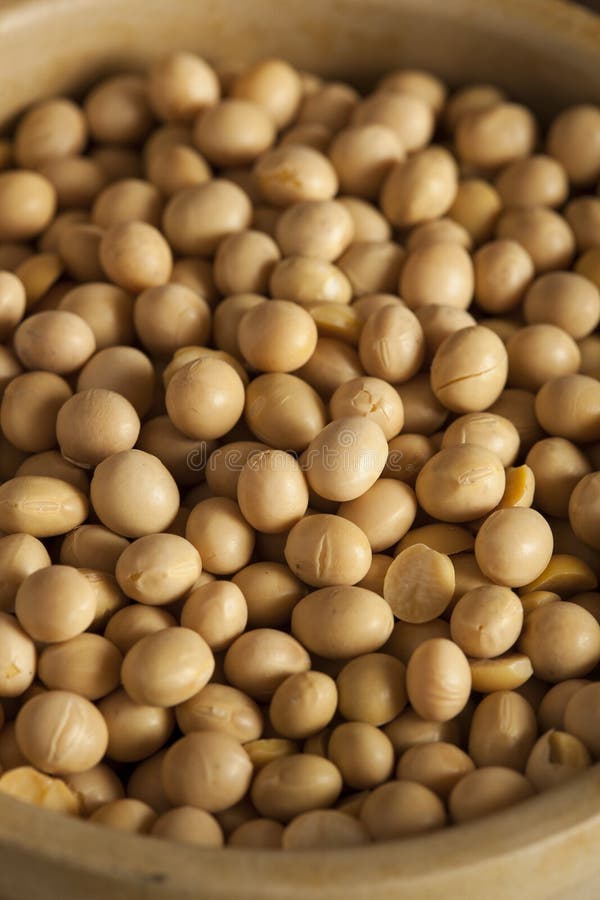 Organic Dry Soy Beans stock image. Image of plant, seed - 32393151