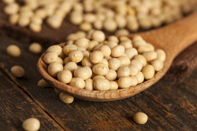 Organic Dry Soy Beans stock photo. Image of growth, ripe - 32393290
