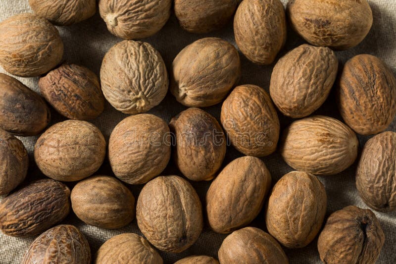 Organic Dry Whole Nutmeg stock image. Image of organic - 300798315