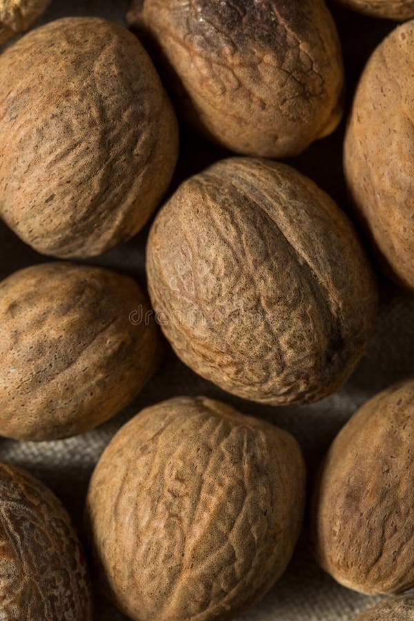 Organic Dry Whole Nutmeg stock image. Image of seeds - 300798335