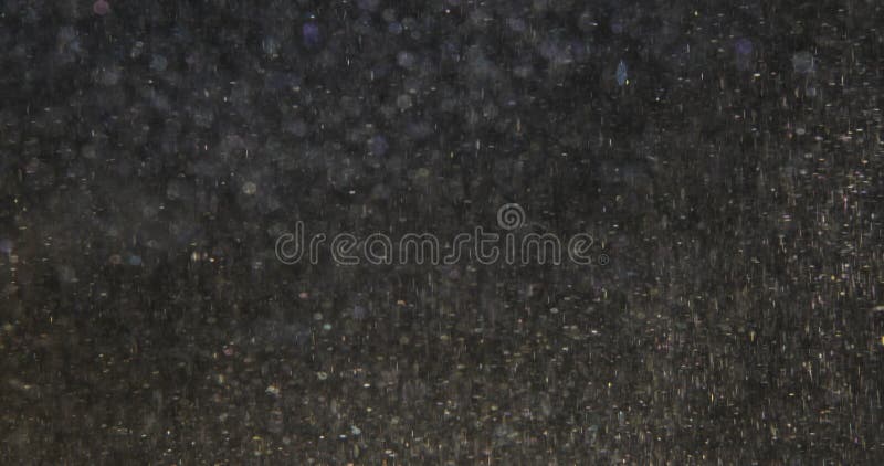 Organic Dust Particles System Floating on Black Screen. Slow Motion ...
