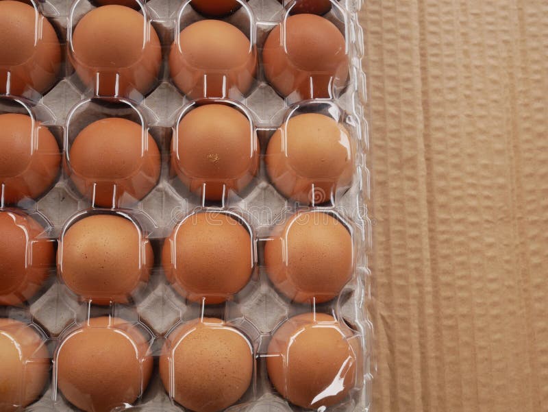 Egg on pack stock image. Image of fresh, healthy, factory - 59910755